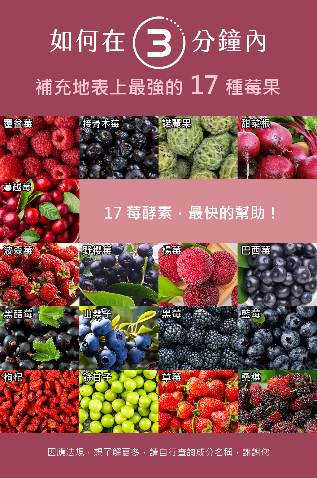 17莓酵素-酵素莓果風味