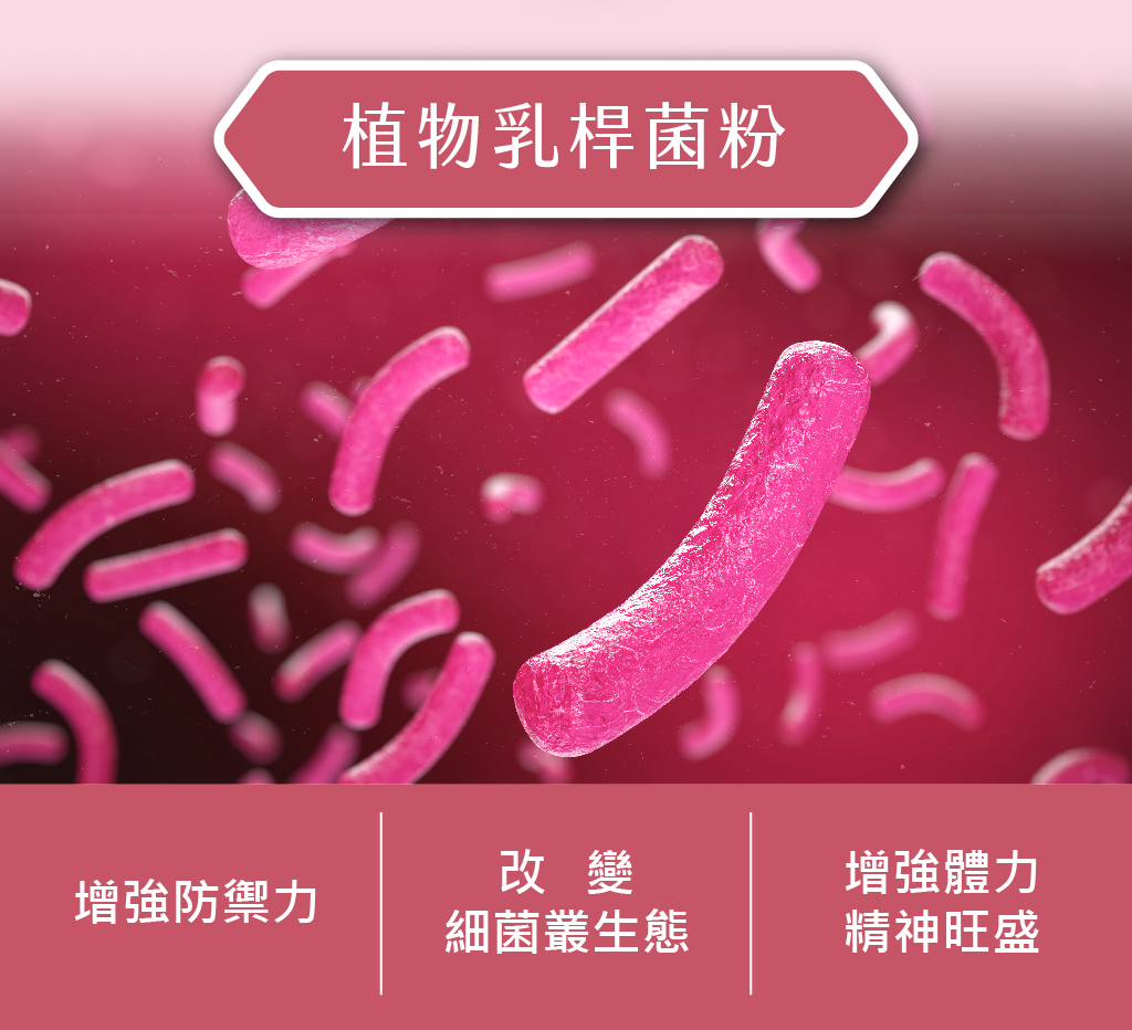 17莓酵素-酵素莓果風味